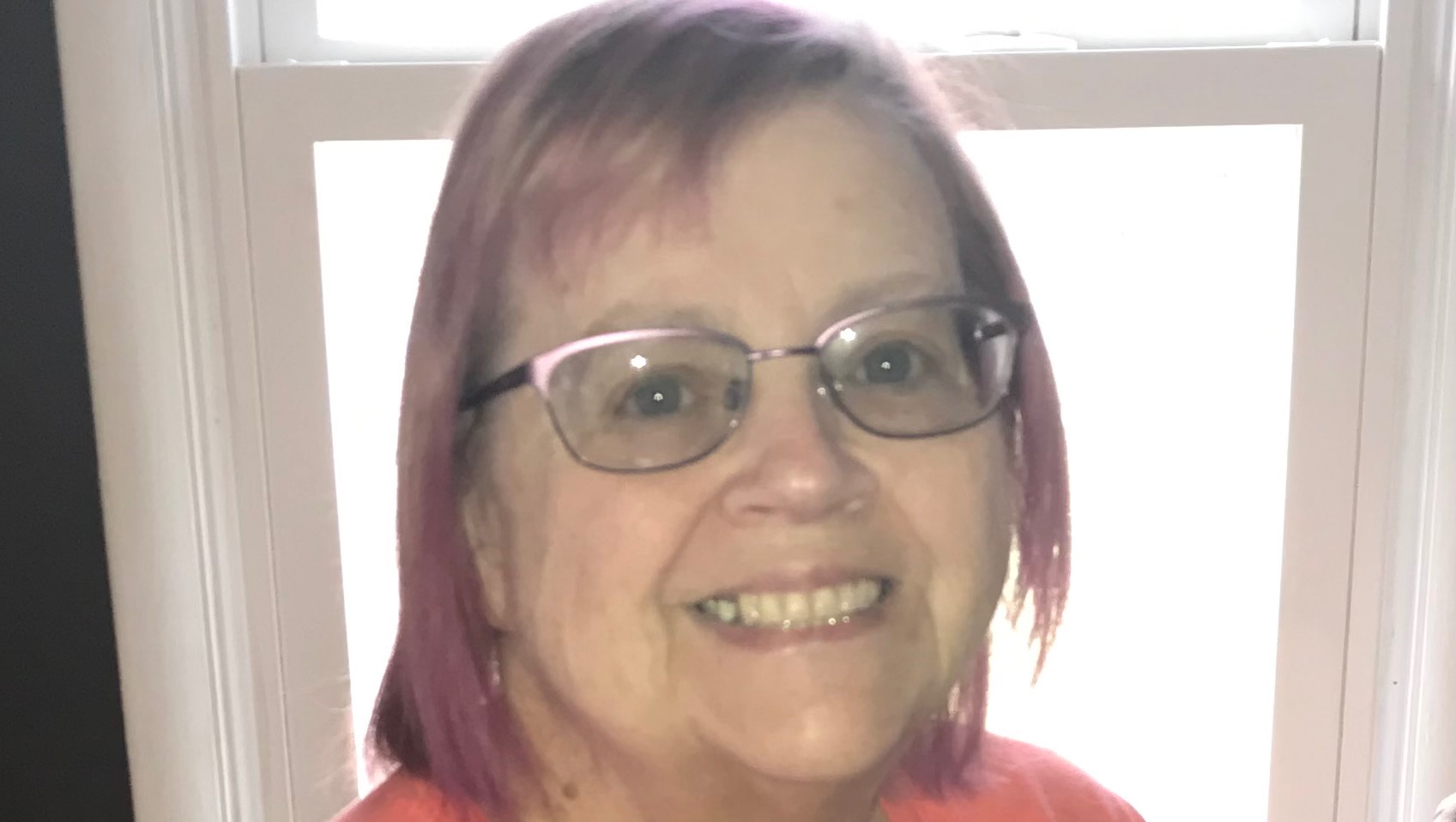 Fundraiser by Lisa Metz : Brenda Van Leeuwen