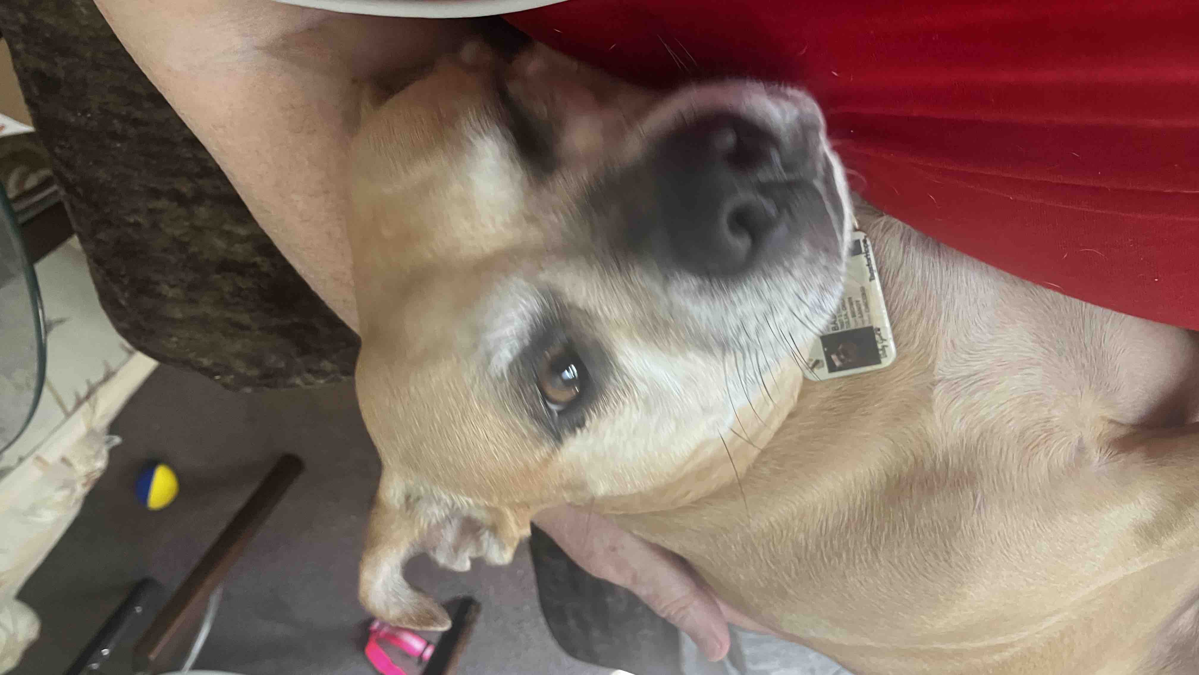 Fundraiser by Kathryn Esterline : Thanks for the show of support for Kathryn