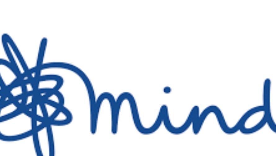 Fundraiser by Amy Summerson : Amy and Harry’s Skydive for Mind