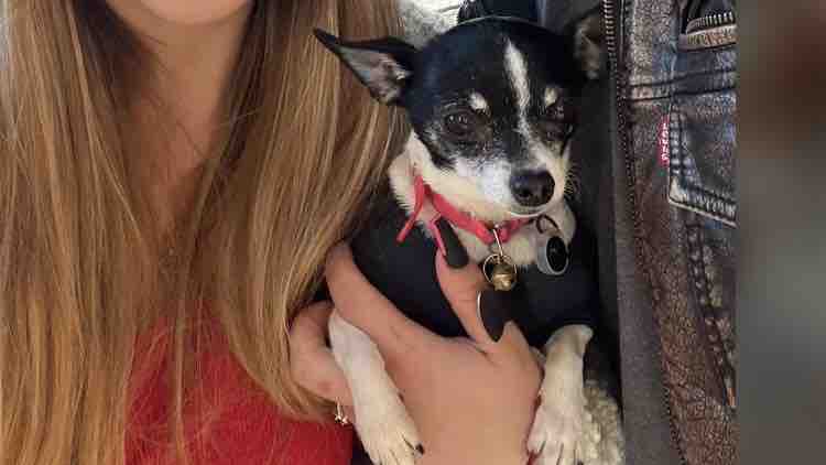 Fundraiser by Kenzie Lynn : Help Lil Faith Fight Cancer