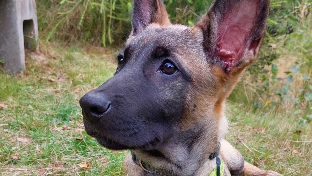 Fundraiser for Michael Perricone by Erica Largent : Support Michael's ...