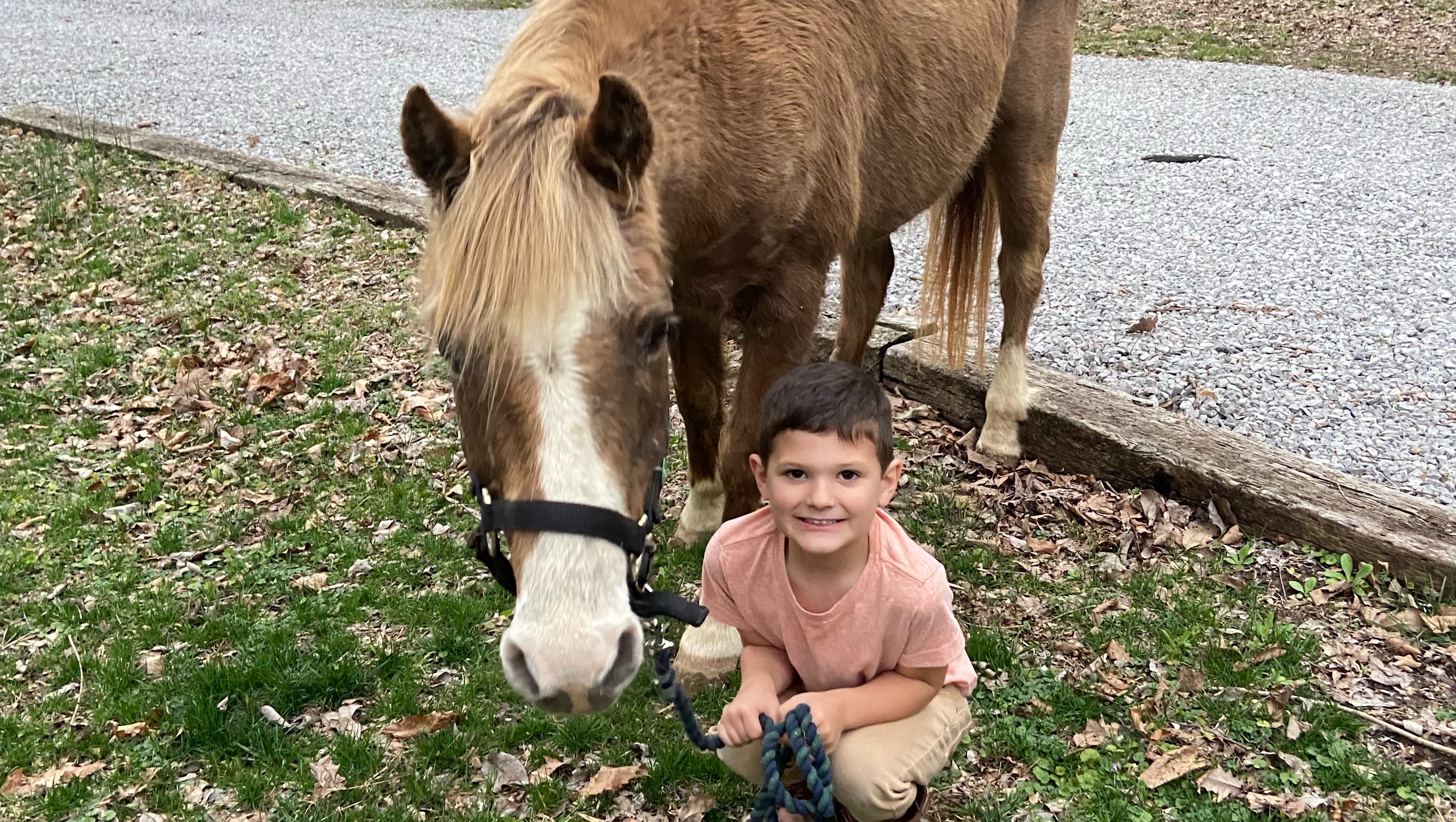 Fundraiser by Allie Robertson : Chip’s Surgery: A Chance for More Happy ...