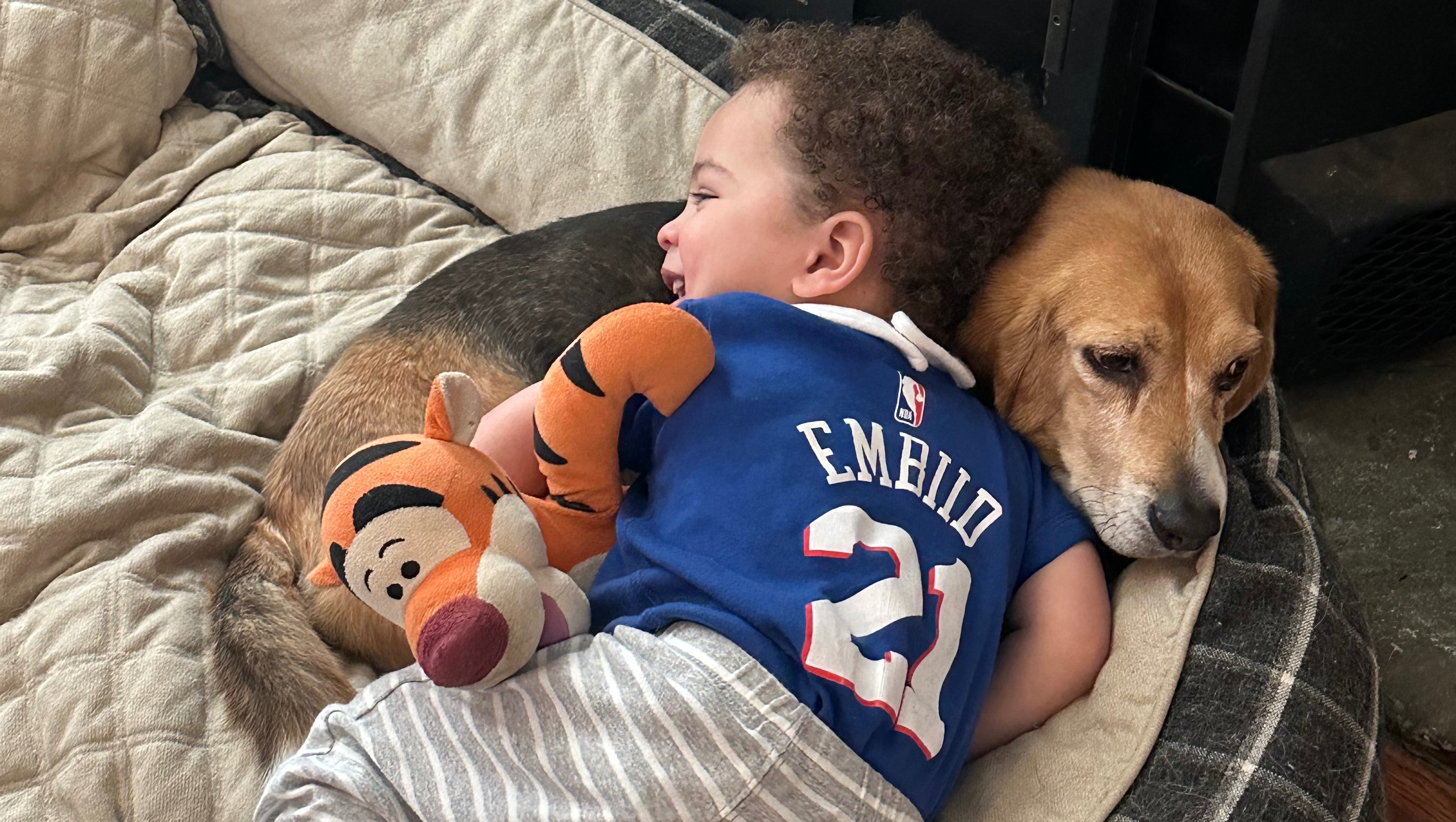 Fundraiser by Jenna Jurgielewicz : Support Felix's Surgery for a ...