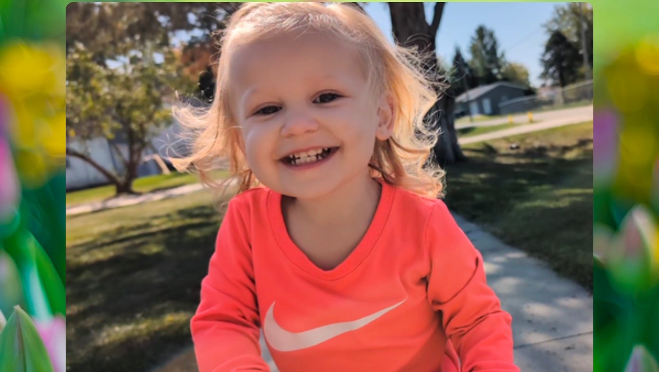 Fundraiser for Falyn Alongi by Morgan Ferguson : Memorial garden in ...