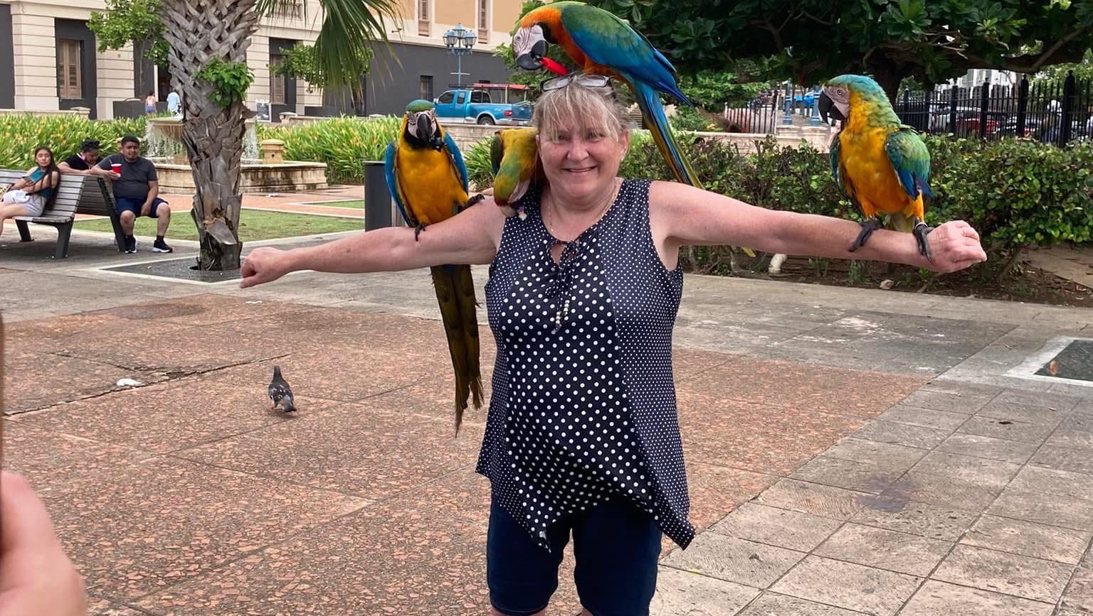 Fundraiser by Michele Case : Help Parents Recover from Health Setbacks