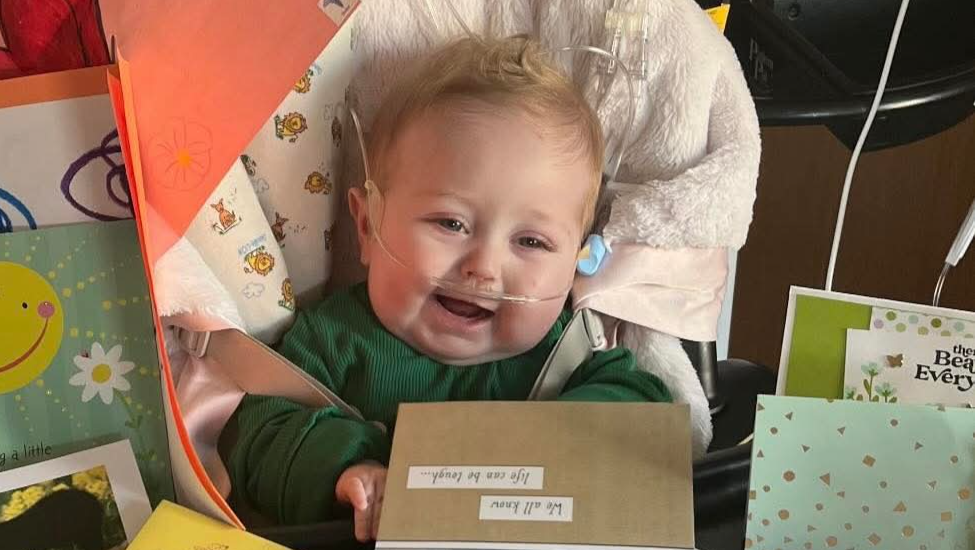 Fundraiser for Kelly Corbin by Krista Swanson : Support Nova's Heart ...