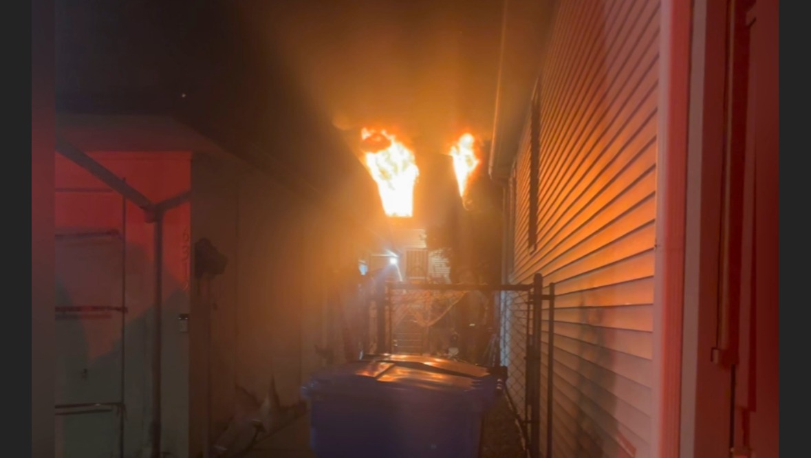 Fundraiser by Pablo Reyes Morales : Support Amanda's phoenix rebirth ...