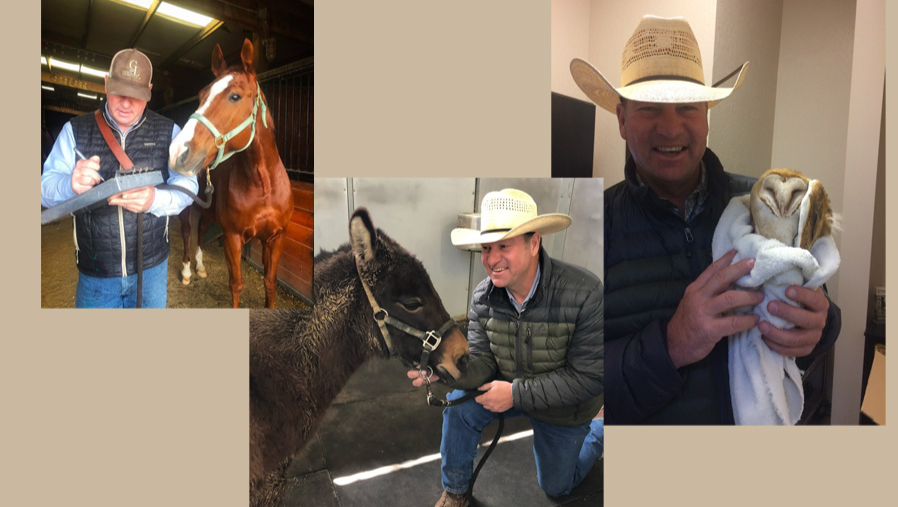 Fundraiser for Holly Peck by Colleen Julian : Community Support for the ...