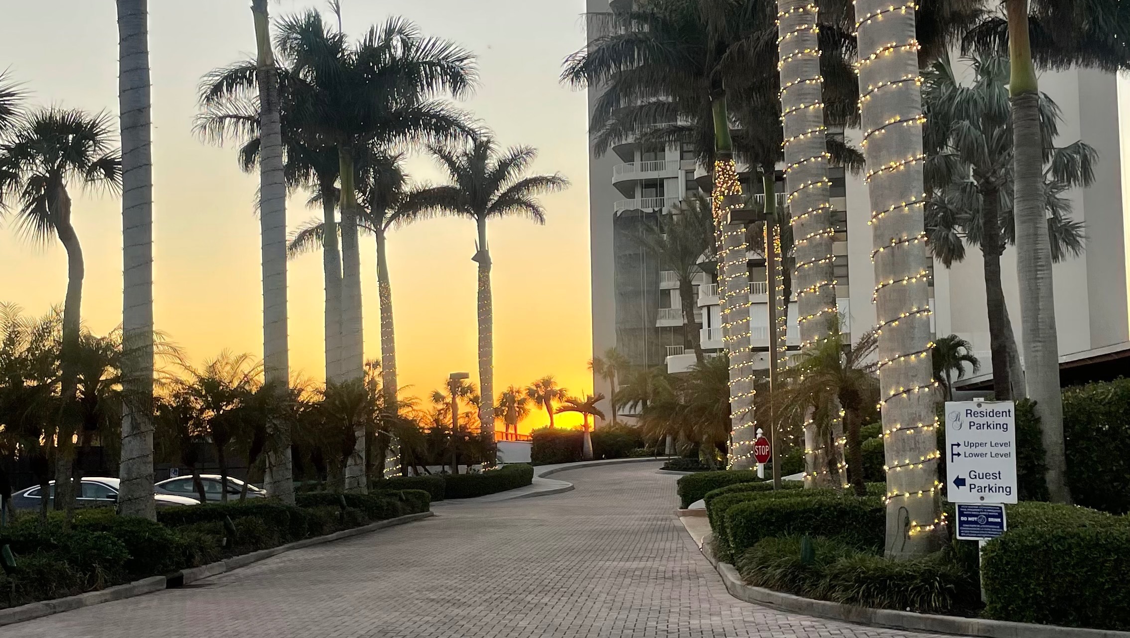 Fundraiser for Joseph Russell by Eileen Gleason : Support Joe Russell's ...