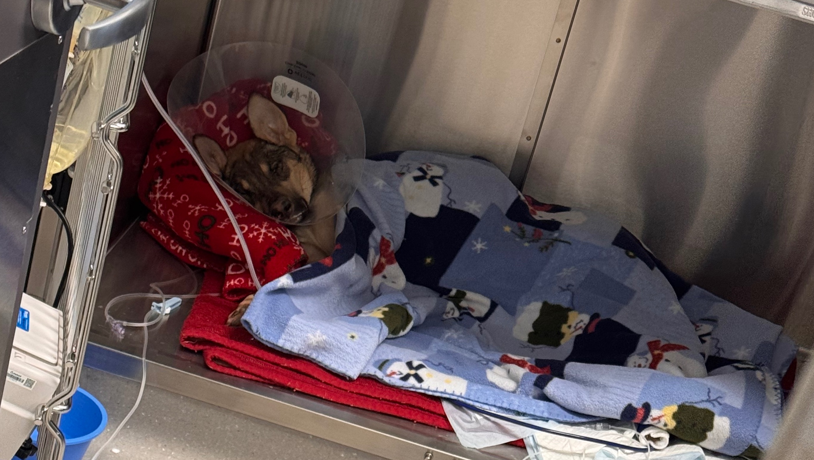 Fundraiser for Jj George by Ashley Shipman : Help baby Odin come home