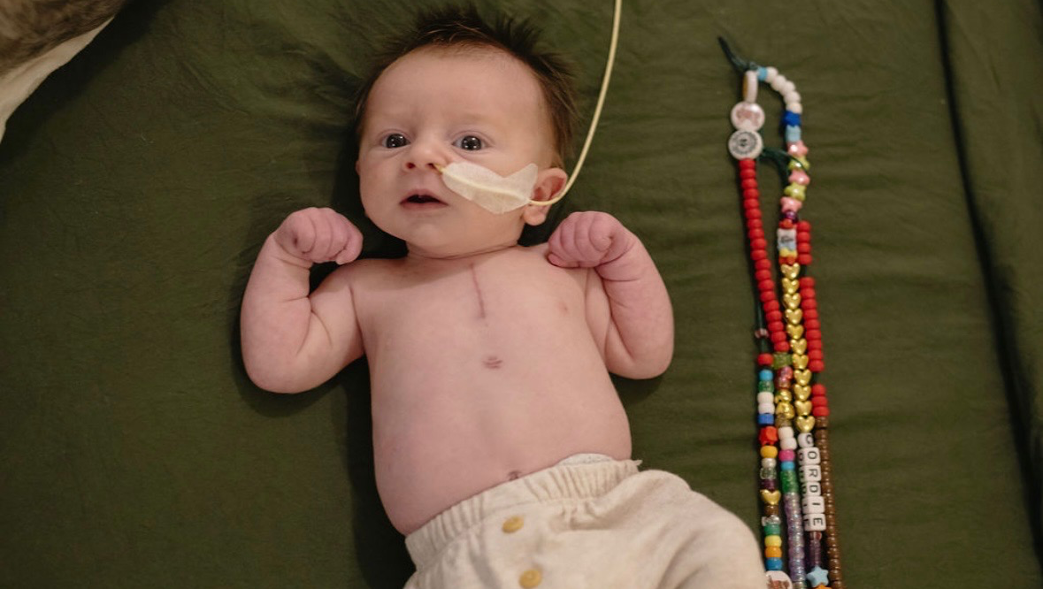 Fundraiser for Phoebe Masterson-Houle by Elizabeth Masterson-Houle ...