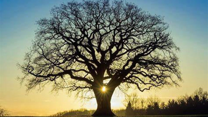 Fundraiser for Monika Lewkowicz by Ash Mitchell : Support Monika's ...