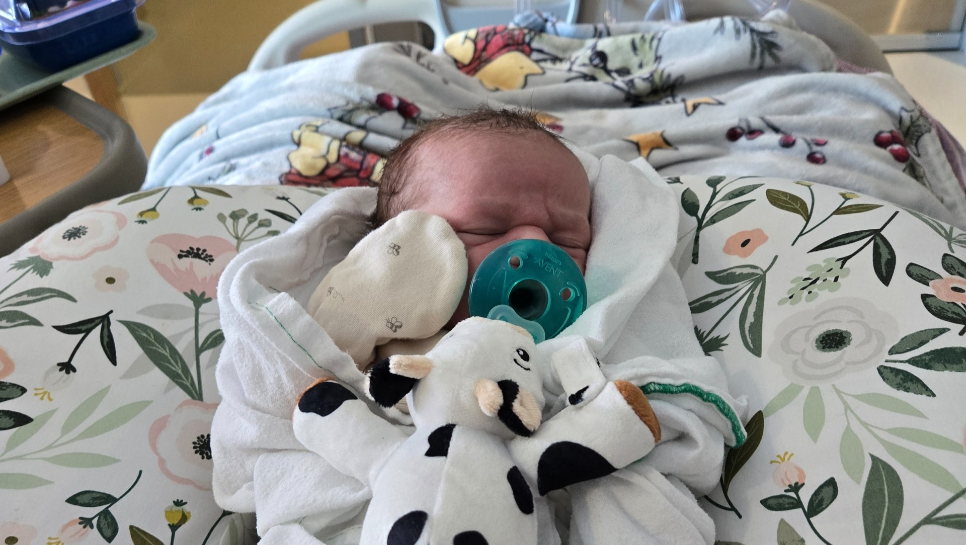 Fundraiser by April Croucher : Remy Taylor