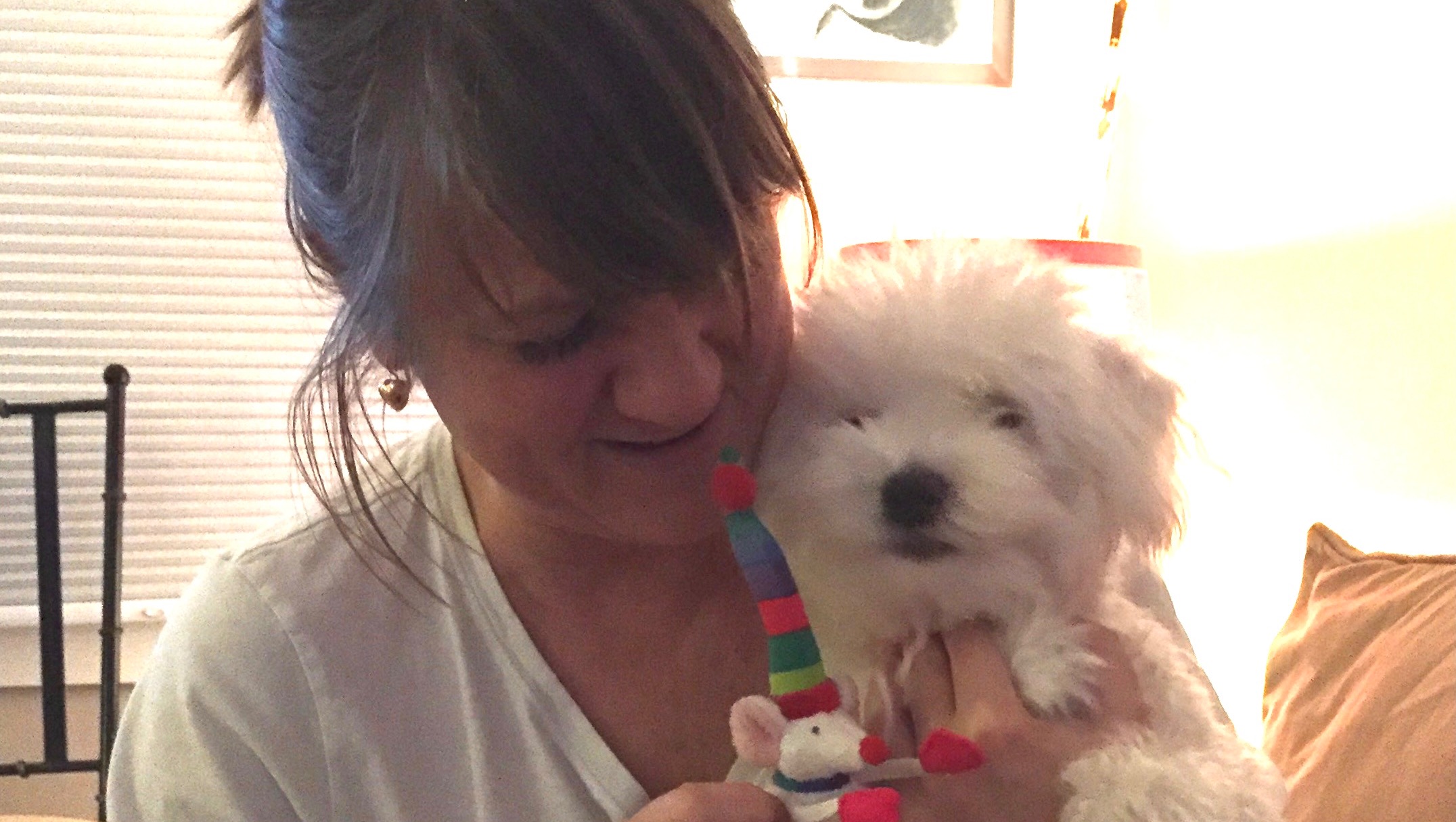 Fundraiser for J R by N G : Help my mom and our little dog Smoochie ...