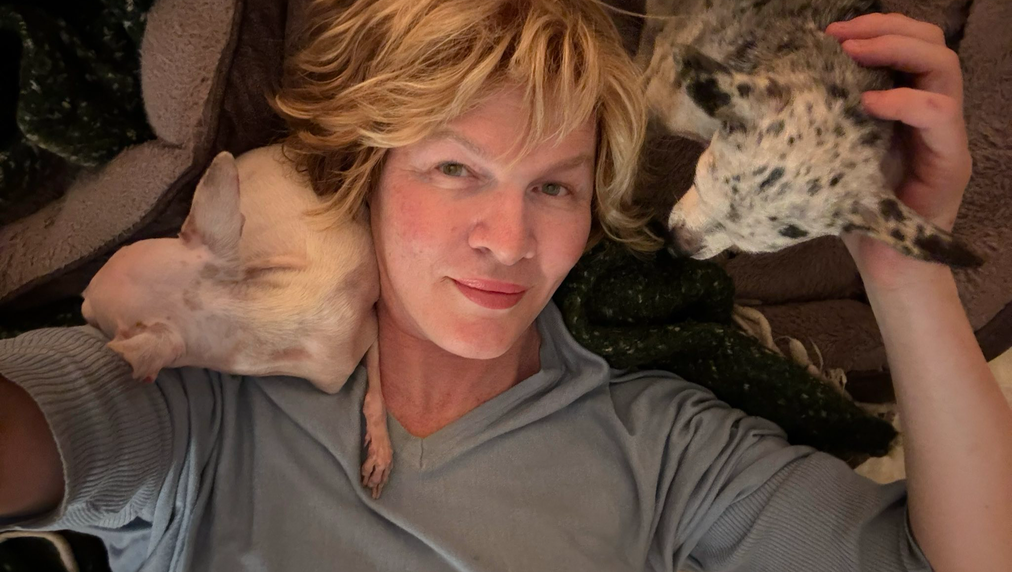 Fundraiser by Mairi Cameron : Stevie Jo, Pinky and Pepper need a safe ...
