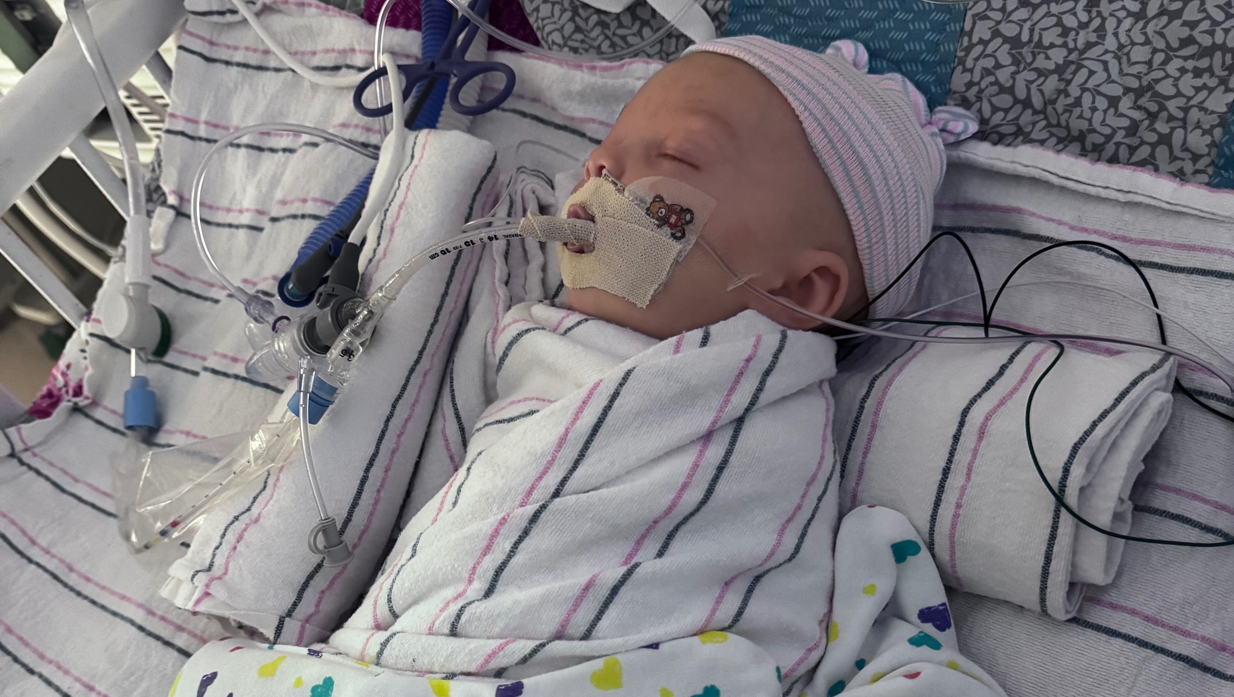 Fundraiser for Shawnie Berry by Janie Blakley : Hailee needs our help!