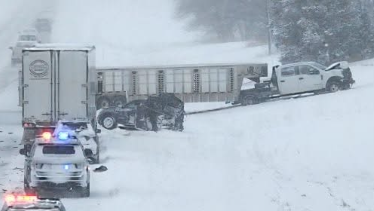 Fundraiser by Anthony Schuler : Help support my mother Cathy Hadley.