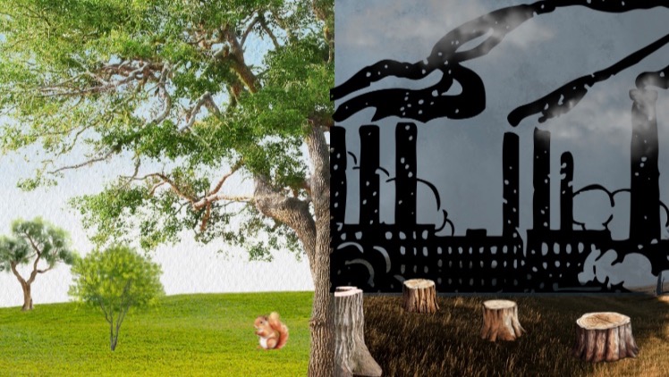 Fundraiser by Serenna Lammers : Deforestation Restoration