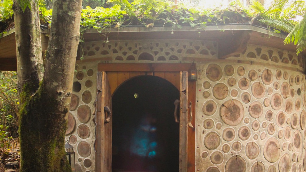 Fundraiser by katrina P : Support Shalaun's Healing Retreat Journey