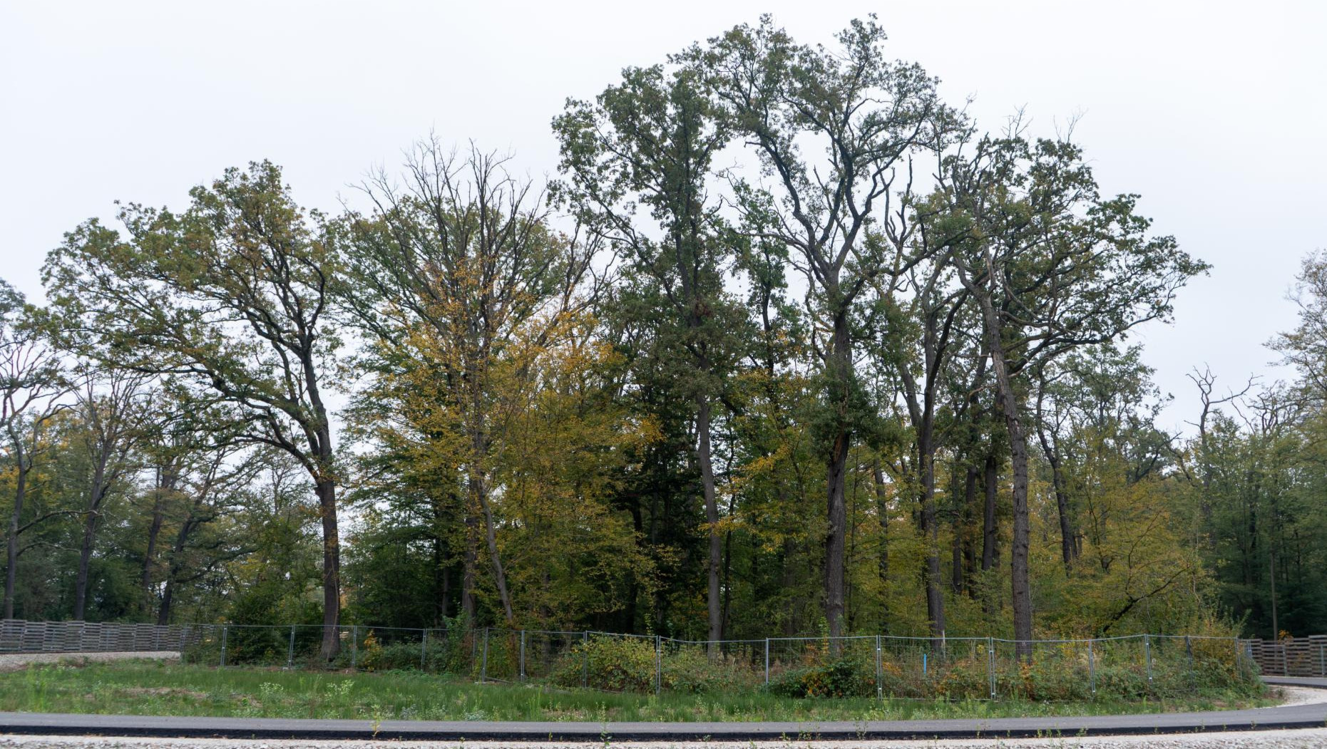 Fundraiser by Marion Tamara Bender : Lebensraum Käferinsel erhalten