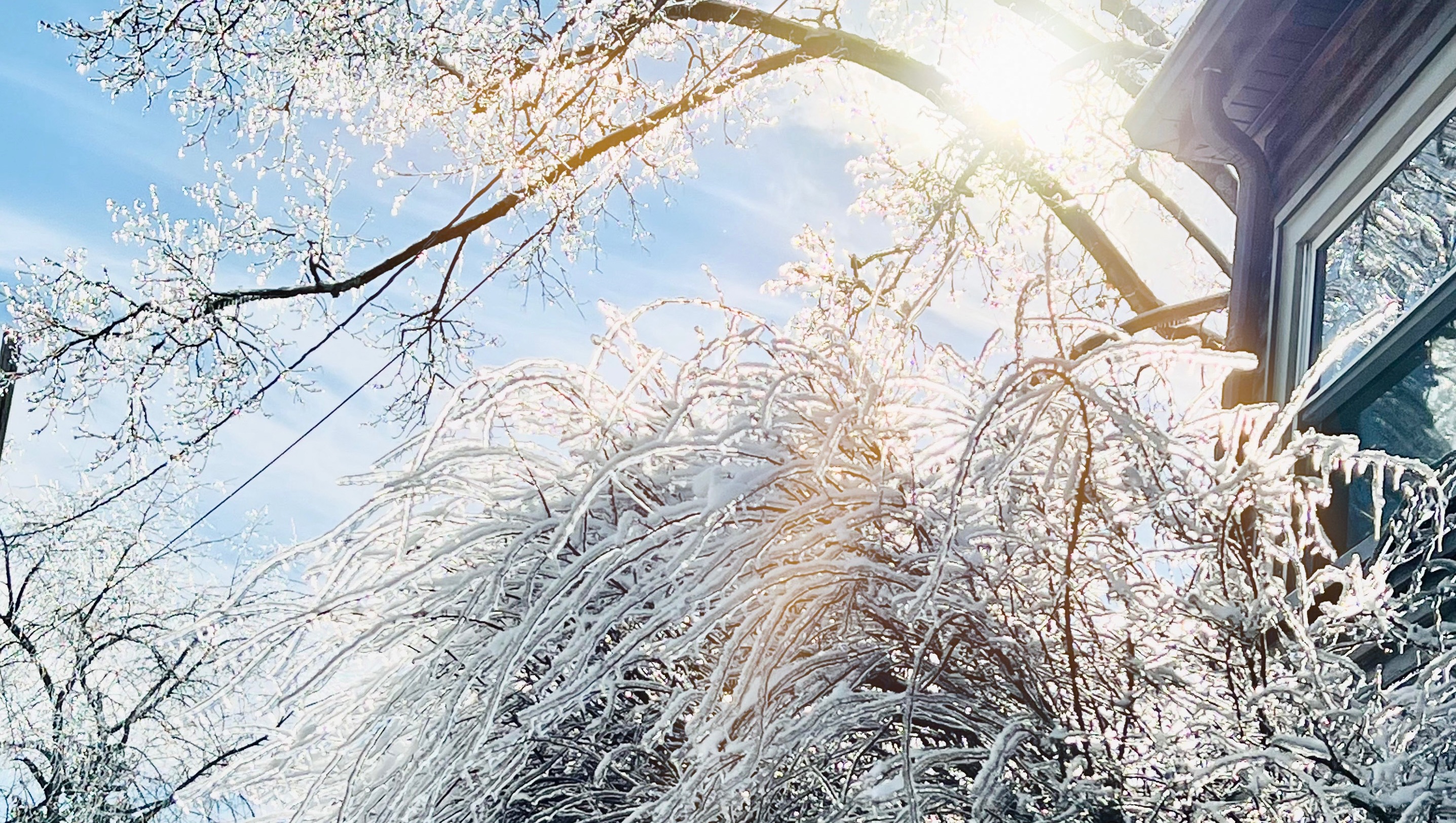 Fundraiser for Tina Ball by CiJi Hurley : Please help my wonderful ...