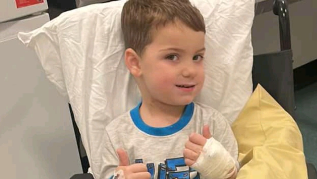 Fundraiser for Rachael Kelly by Melissa sovegjarto : Help jaxon and his ...