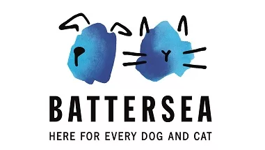 Fundraiser by Daisy Hunt : Hike up Yr Wyddfa for Battersea