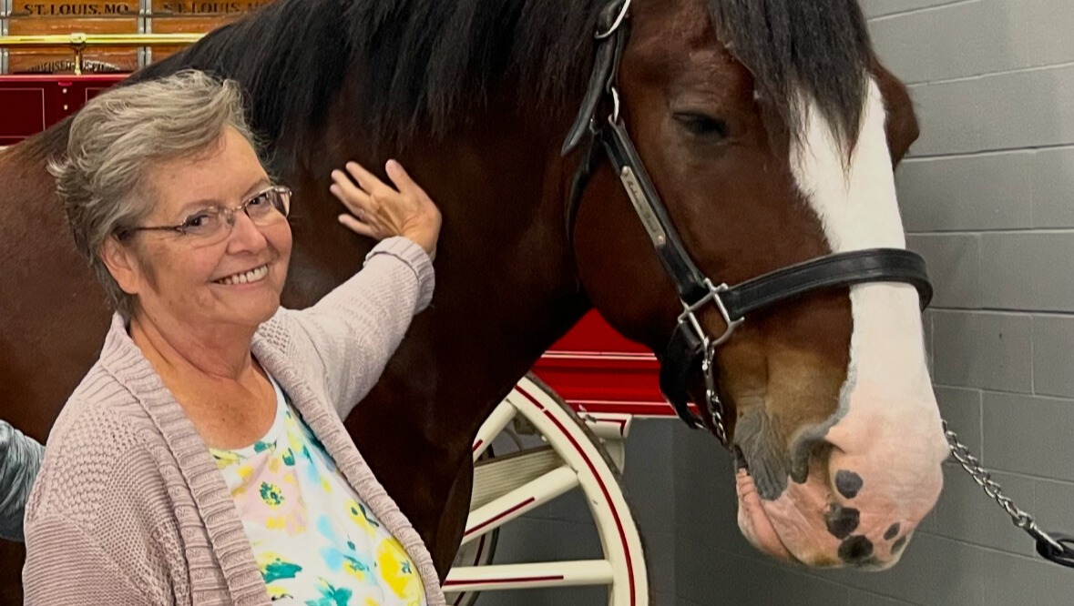 Fundraiser for Jeremy Mattson by Lorena Alejandro-Mattson : Memorial ...