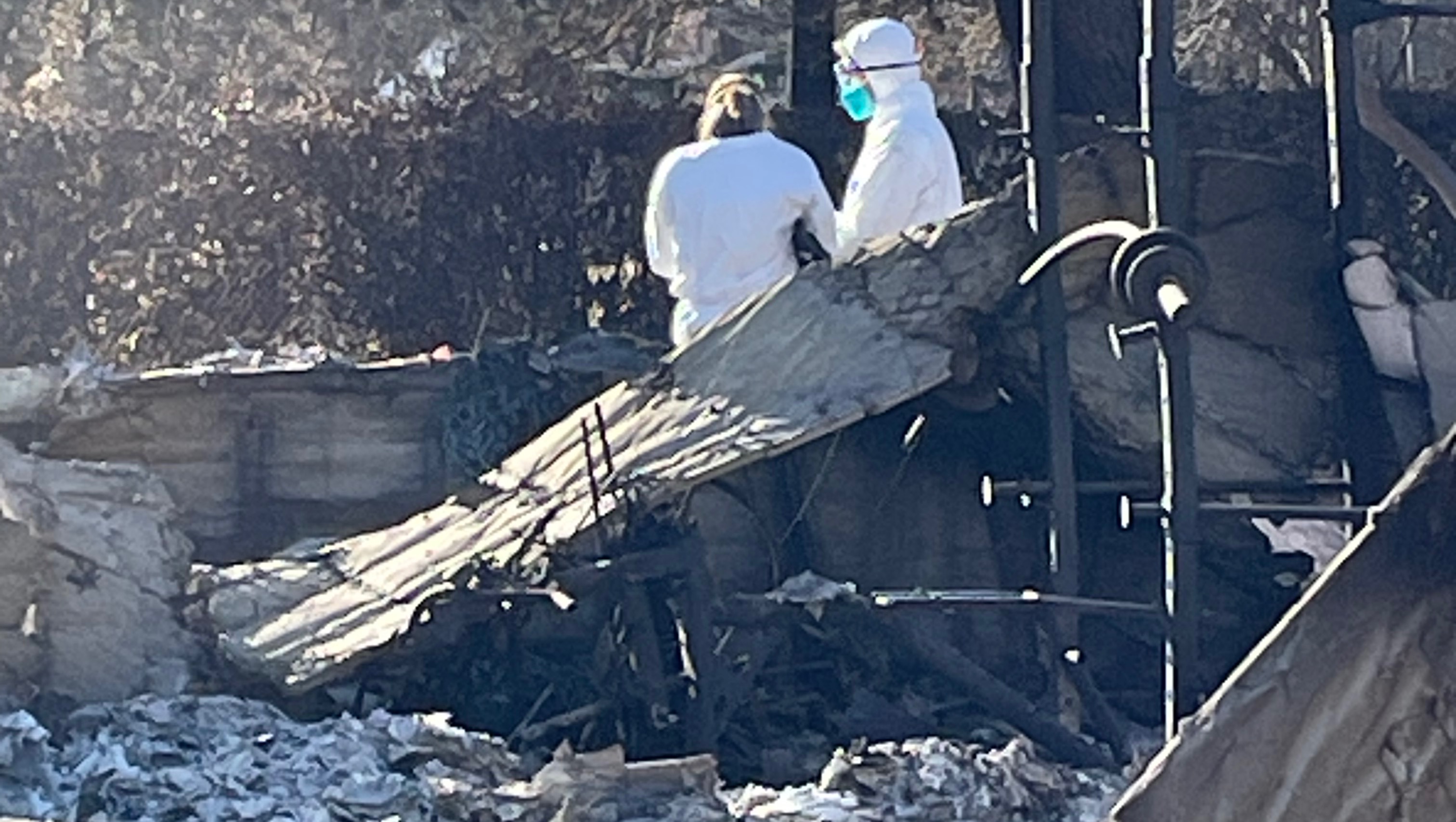 Fundraiser for Misty Shakeley by Laura Harlan : Help Misty and Ebi ...