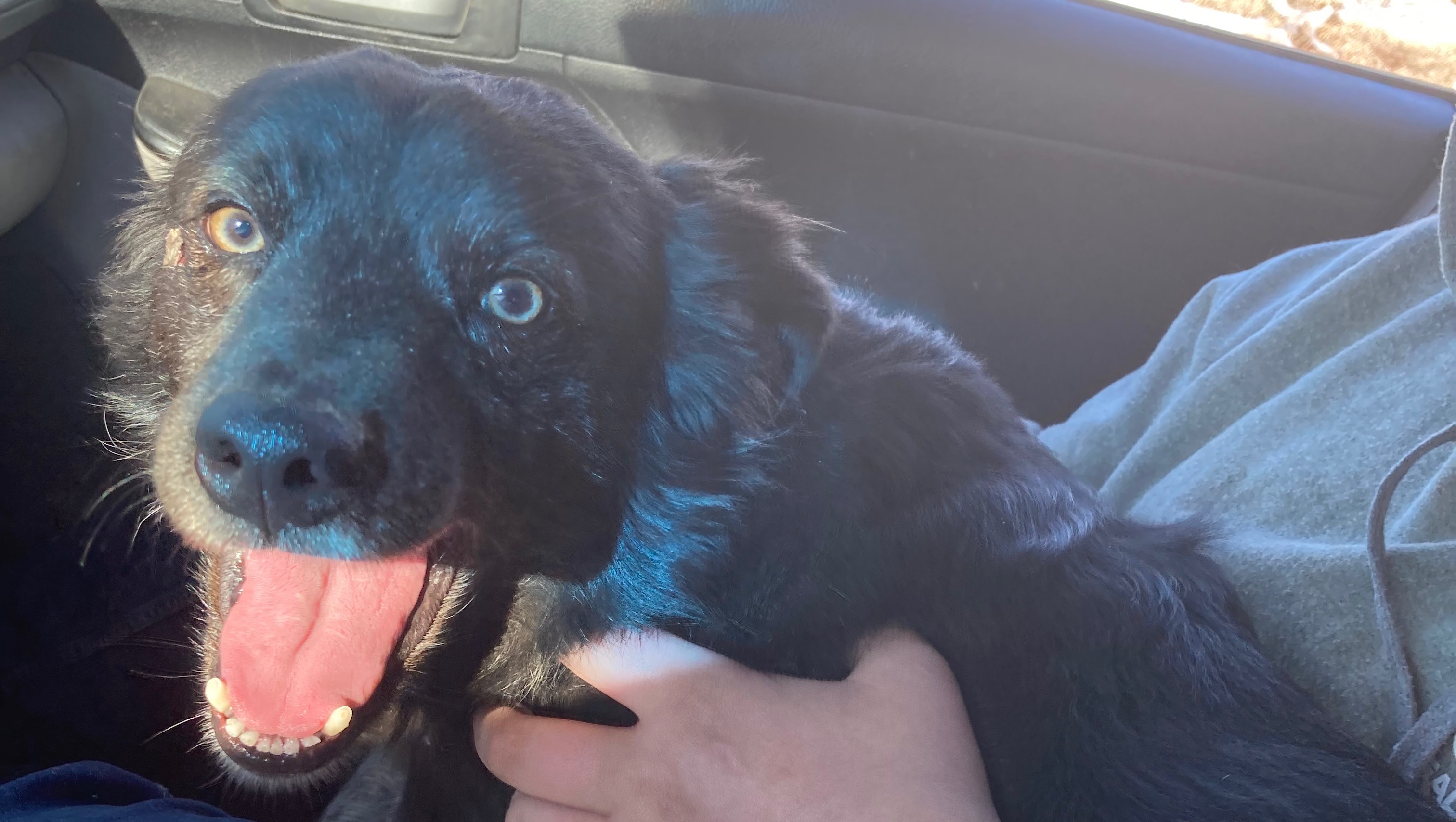 Fundraiser by Shannon Riggin : Help Tanner Heal After His Brave Journey