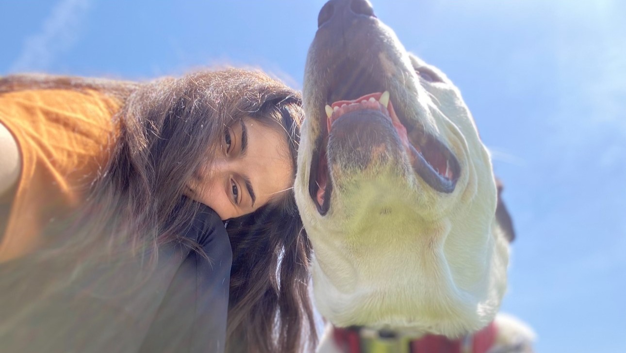 Fundraiser for ninnvie somo by Mariana Korkis : Save Rico: A Loyal ...
