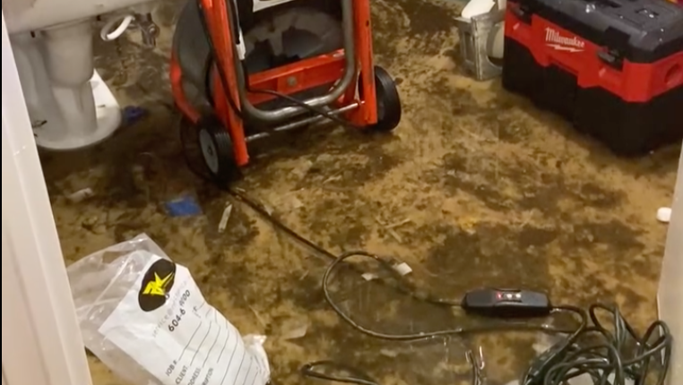 Fundraiser for Mary Servais by Laurel Dykstra : Help T recover, her ...