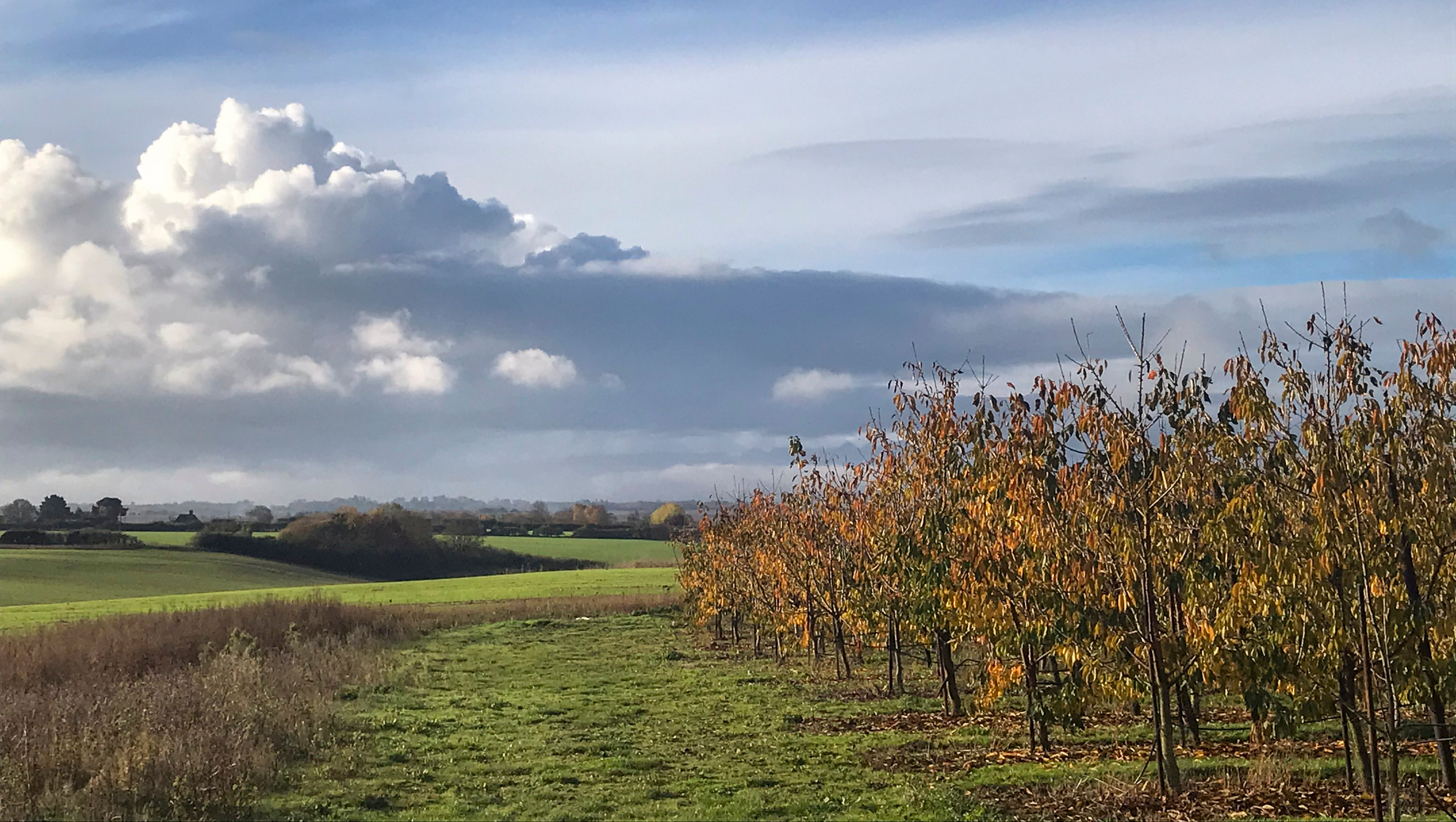 Fundraiser by Julien Speed : HELP US TO FIGHT HIGHSTED PARK...!