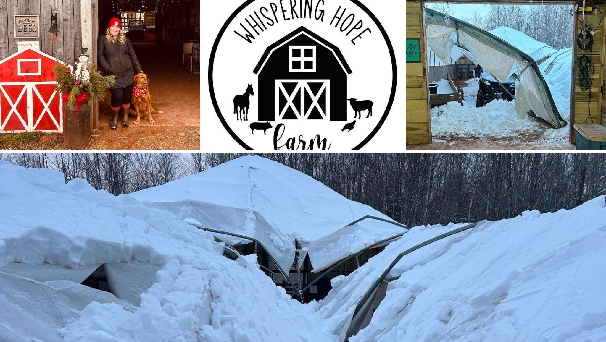Fundraiser for Kayla MacIntyre by Laura Dillon : Help Rebuild ...