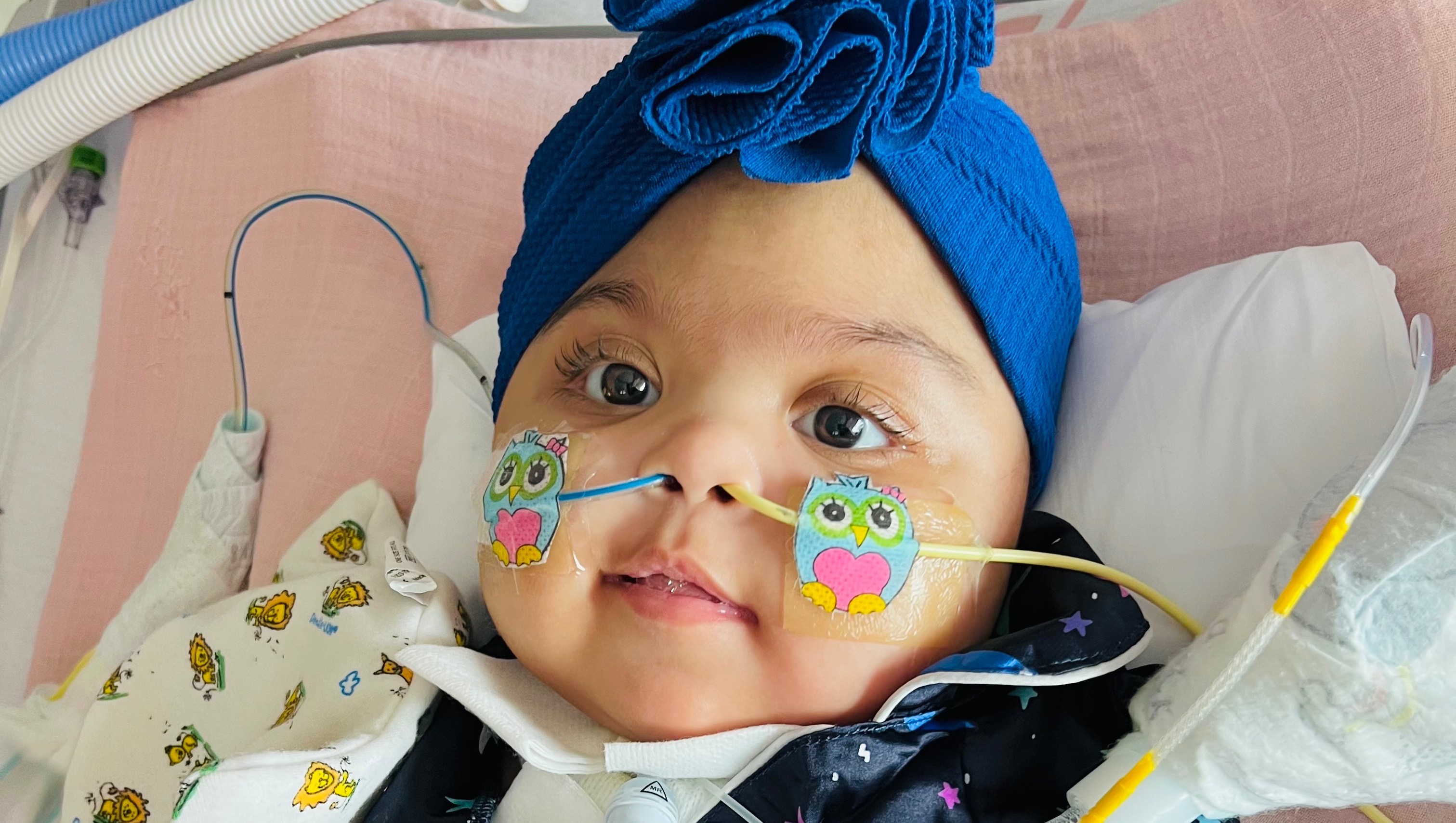 Fundraiser by Noelia Cruz : Honor Luna Valentina’s memory forever in ...