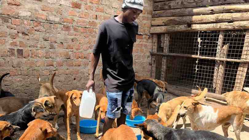 Fundraiser by Manuela S : FAKE ORGANIZATION