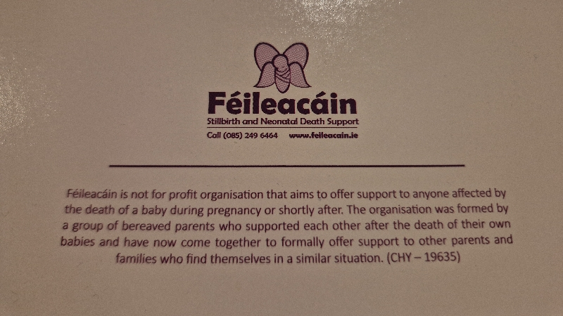 Fundraiser by Glenn Lee : Support for Féileacáin