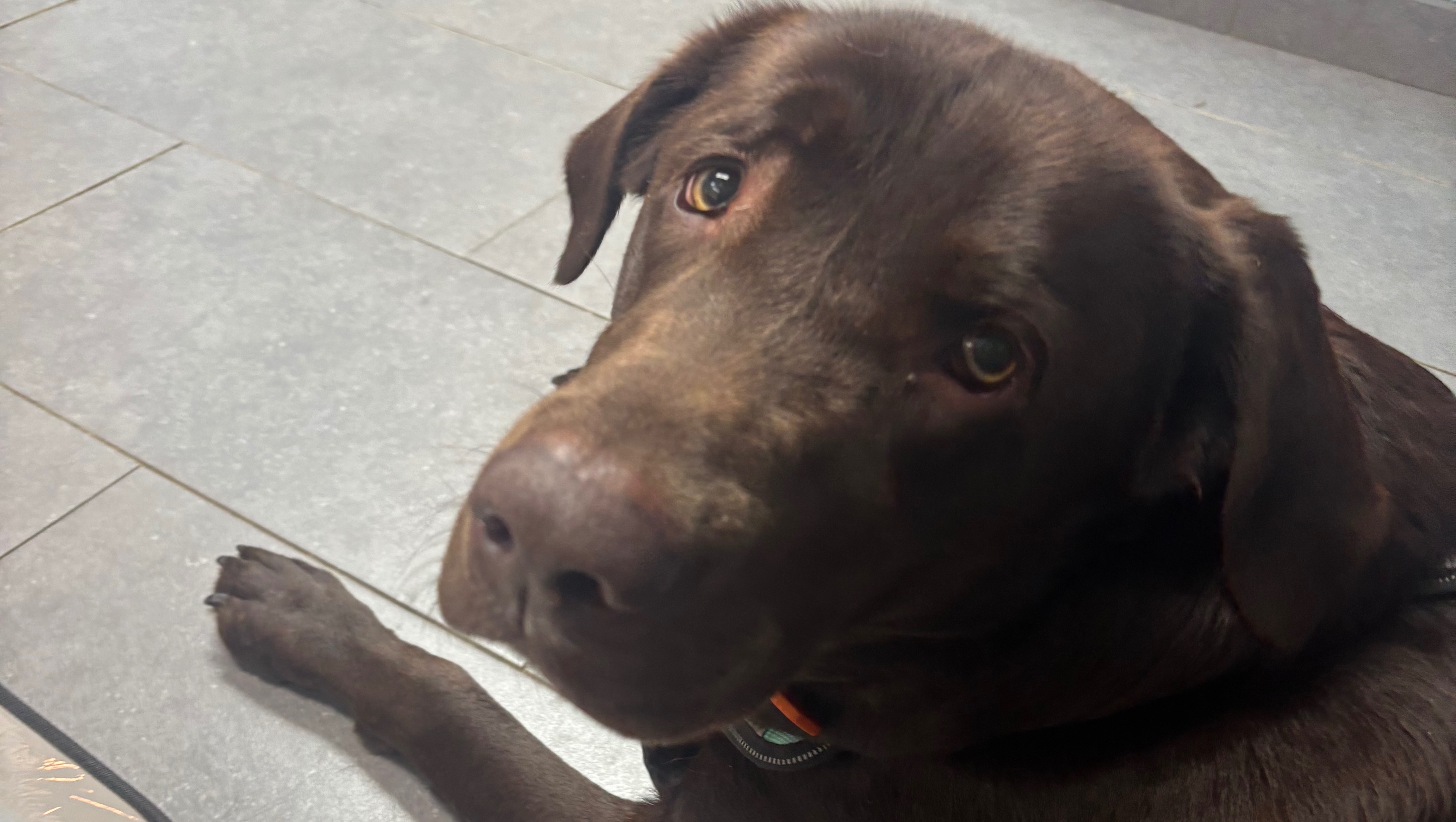 Fundraiser for Megan (Lapp) by Ashley Lapp Bachman : Aid My Sister and ...