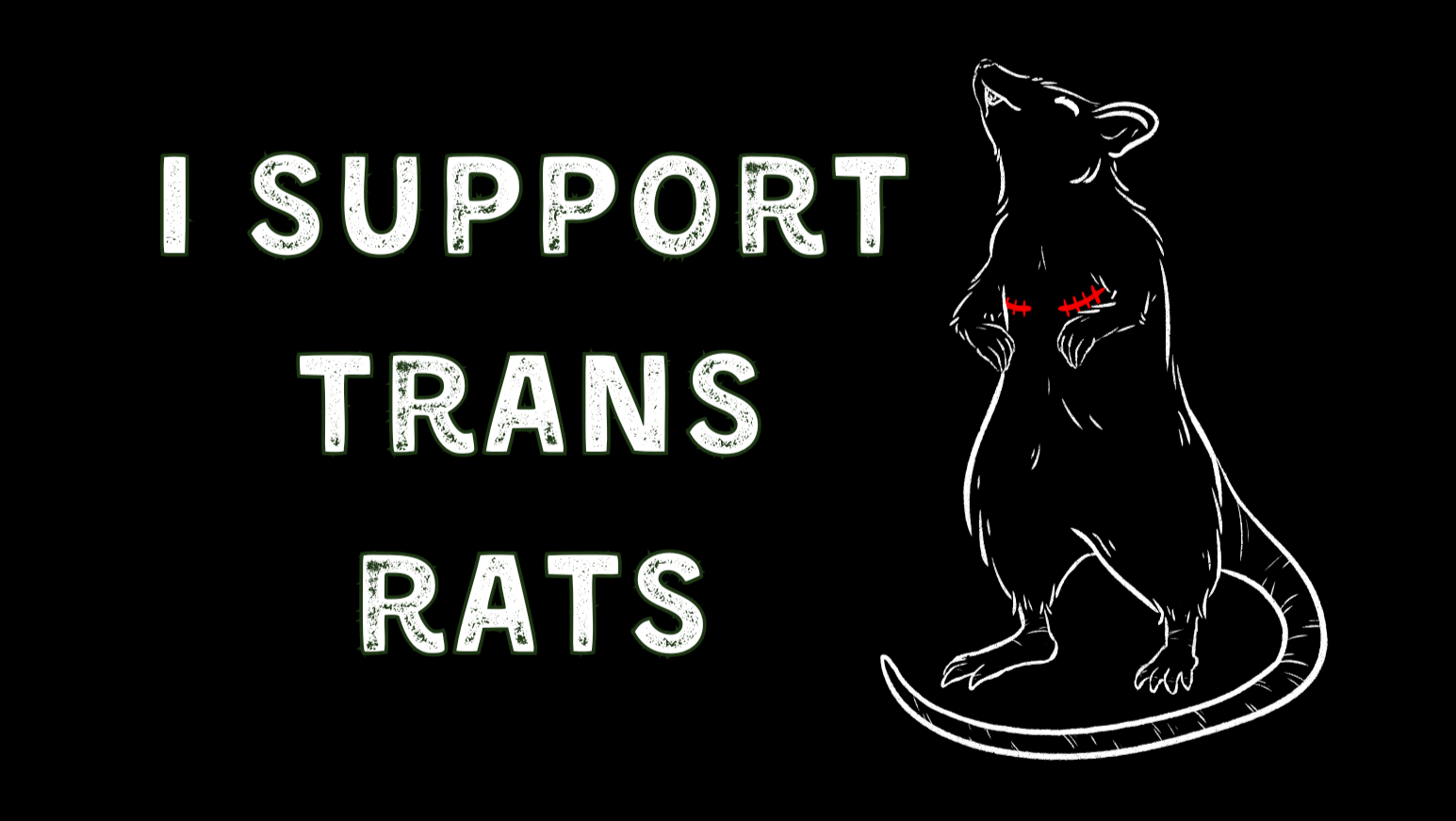 Fundraiser by Cheyenne Perry-Hodges : Help Z Get Top Surgery!