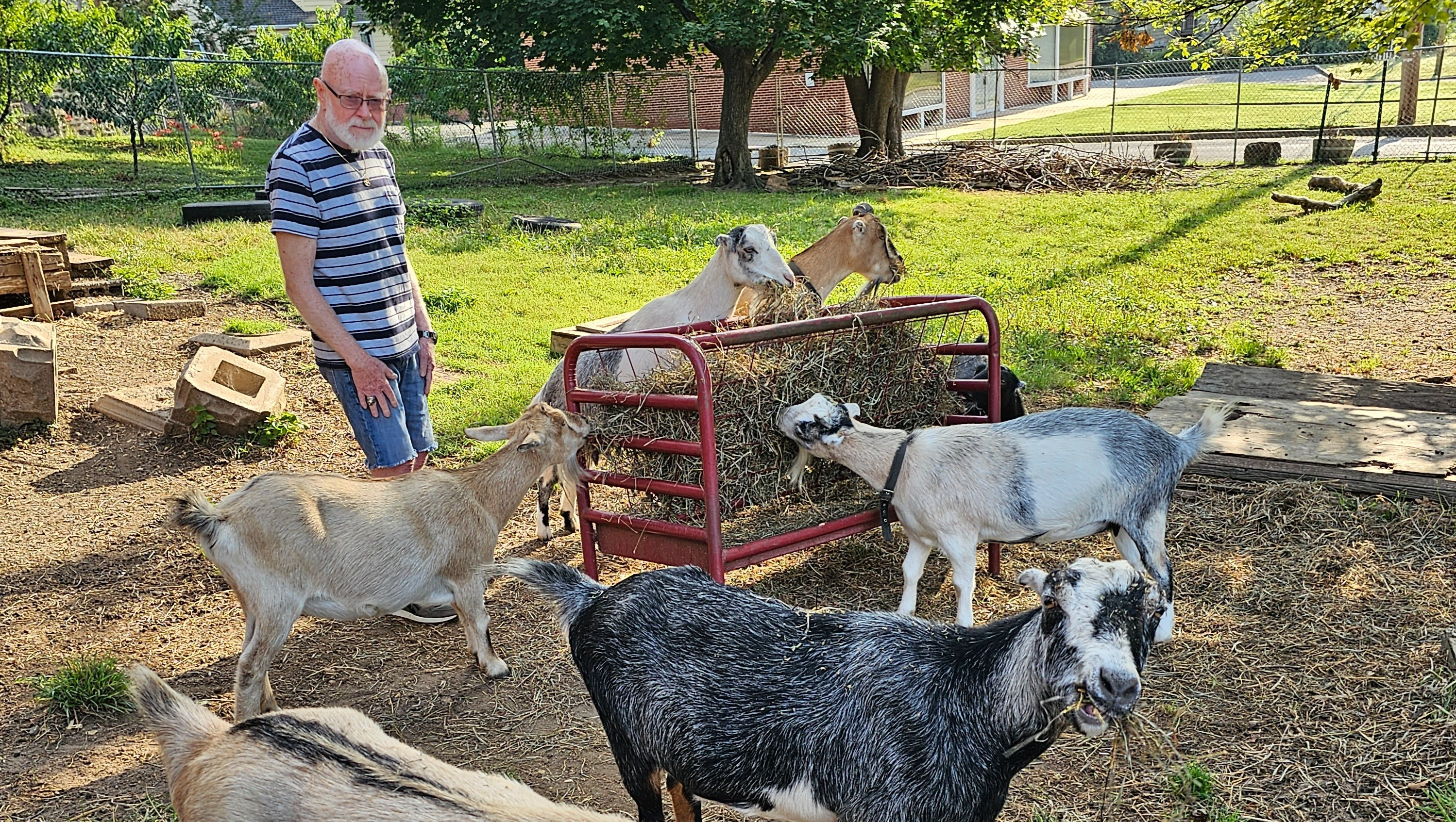 Fundraiser for Maurice Lease by zak brookes : Help save The Goat House