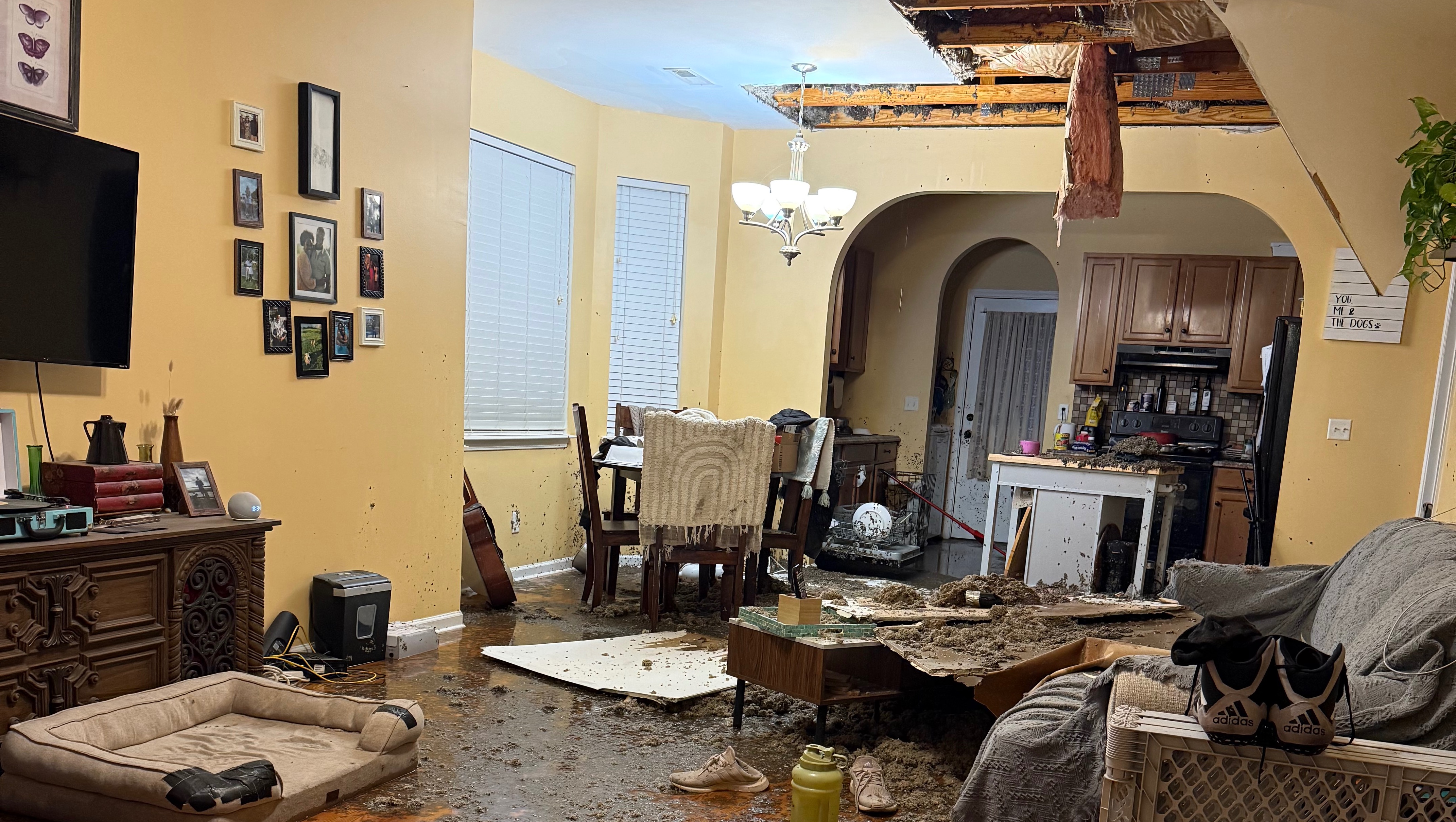 Fundraiser for Victoria Blunt by Serena Brooke VanHuss : Help Victoria ...