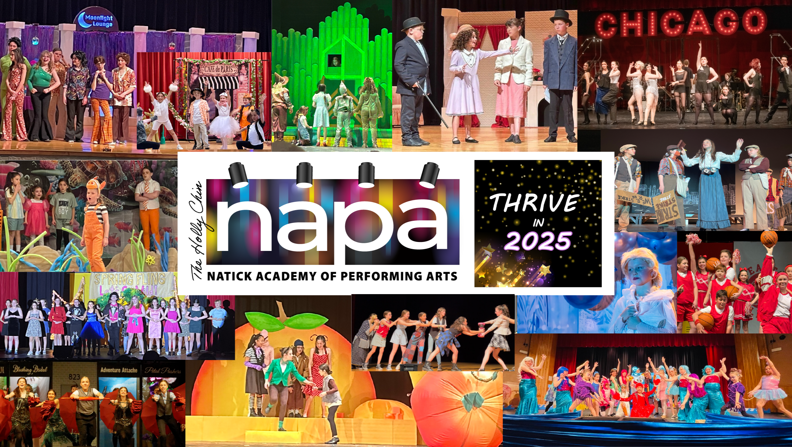 Fundraiser by Holly Chin : Help NAPA Thrive in 2025!