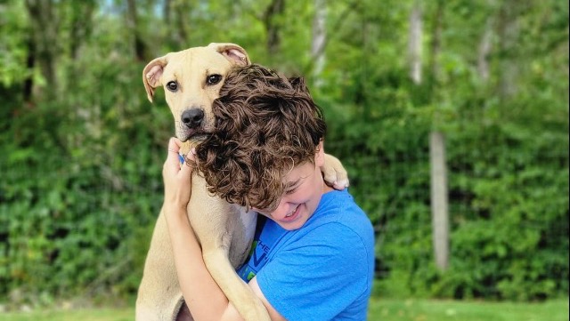 Fundraiser by Katrina Wedin : Empower Katrina's Journey in Dog Training