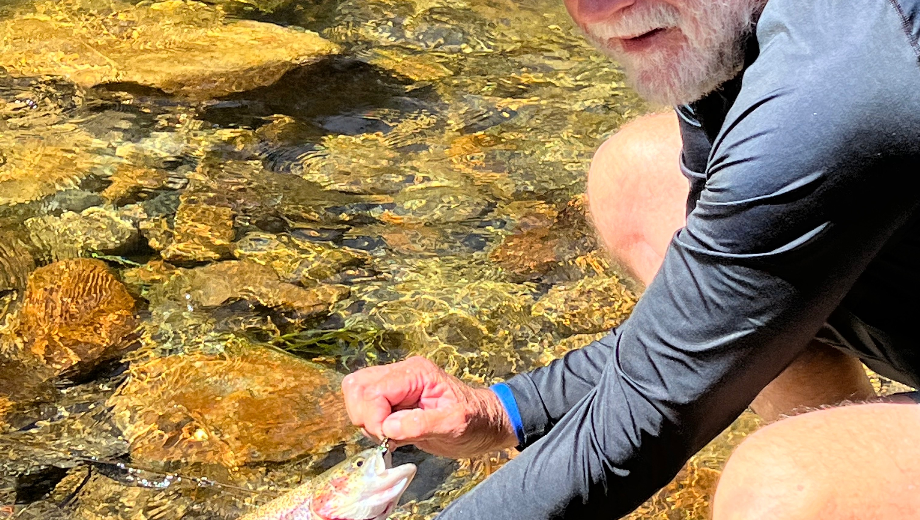 Fundraiser by Robert Nickelson : Keep Trout Tradition Alive in SF Yuba ...