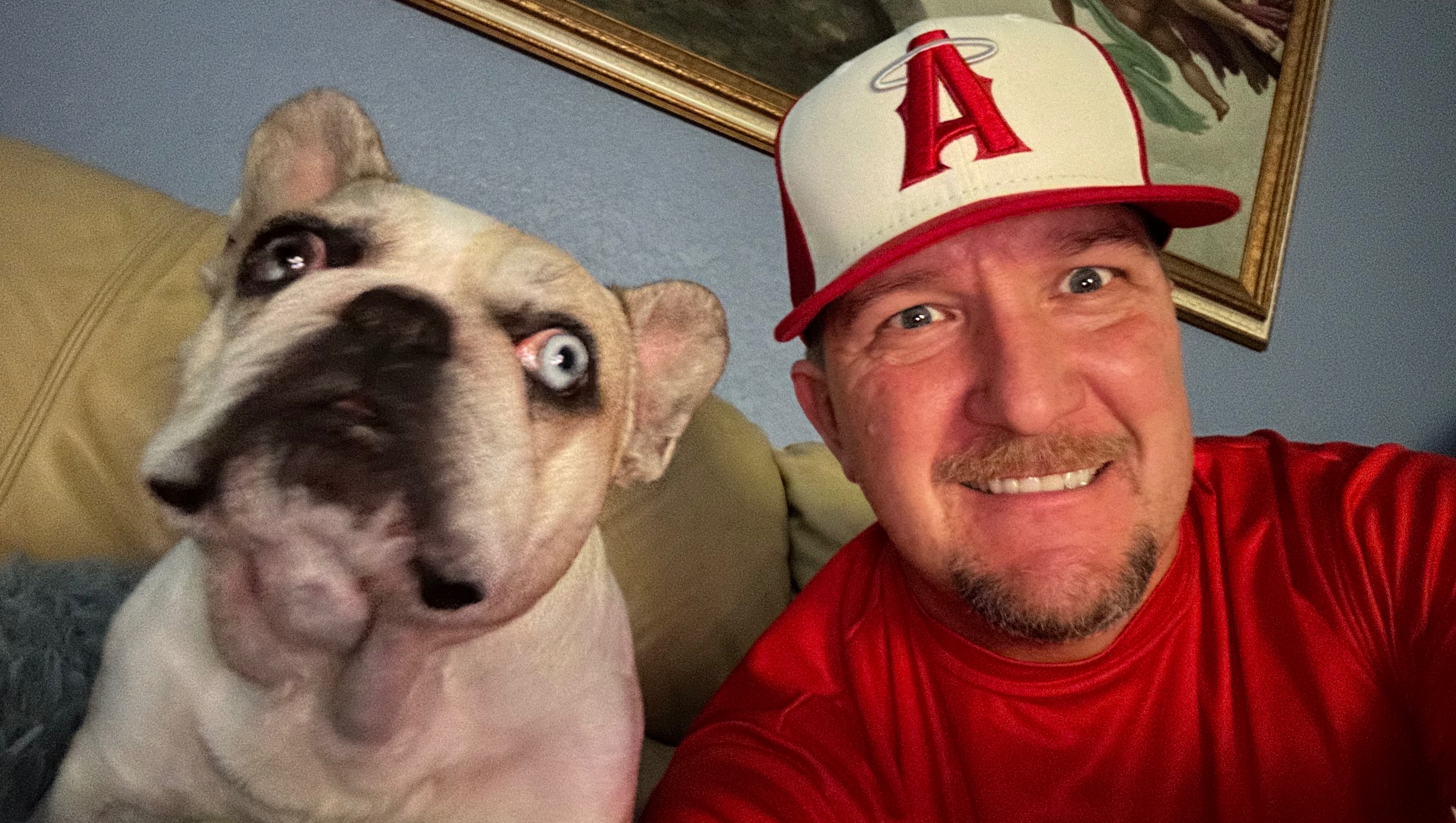 Fundraiser by Robert Feltner : Help Maxi Recover from Severe Liver ...