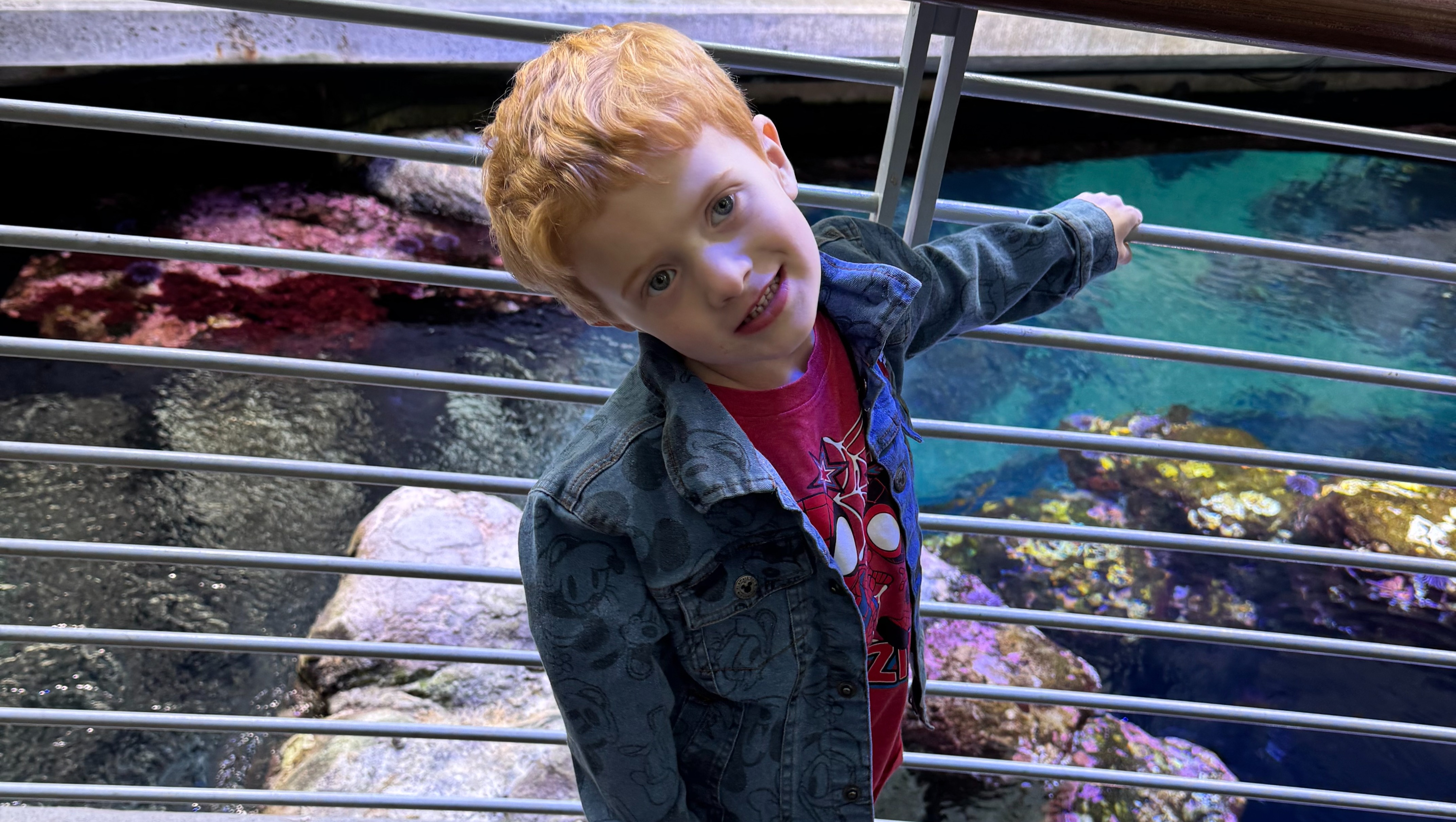 Fundraiser for Kim Tucker by Lisa Cook : Help Soren Fight Wilms Tumor