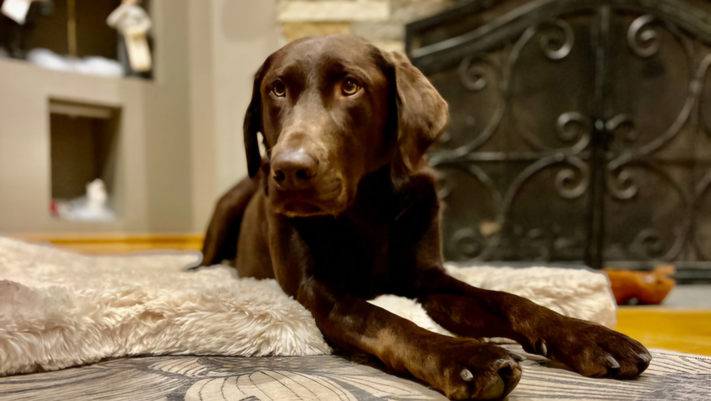 Fundraiser for Kaitlin Salkeld by Cat Rivera : Support Kaitlin's ...