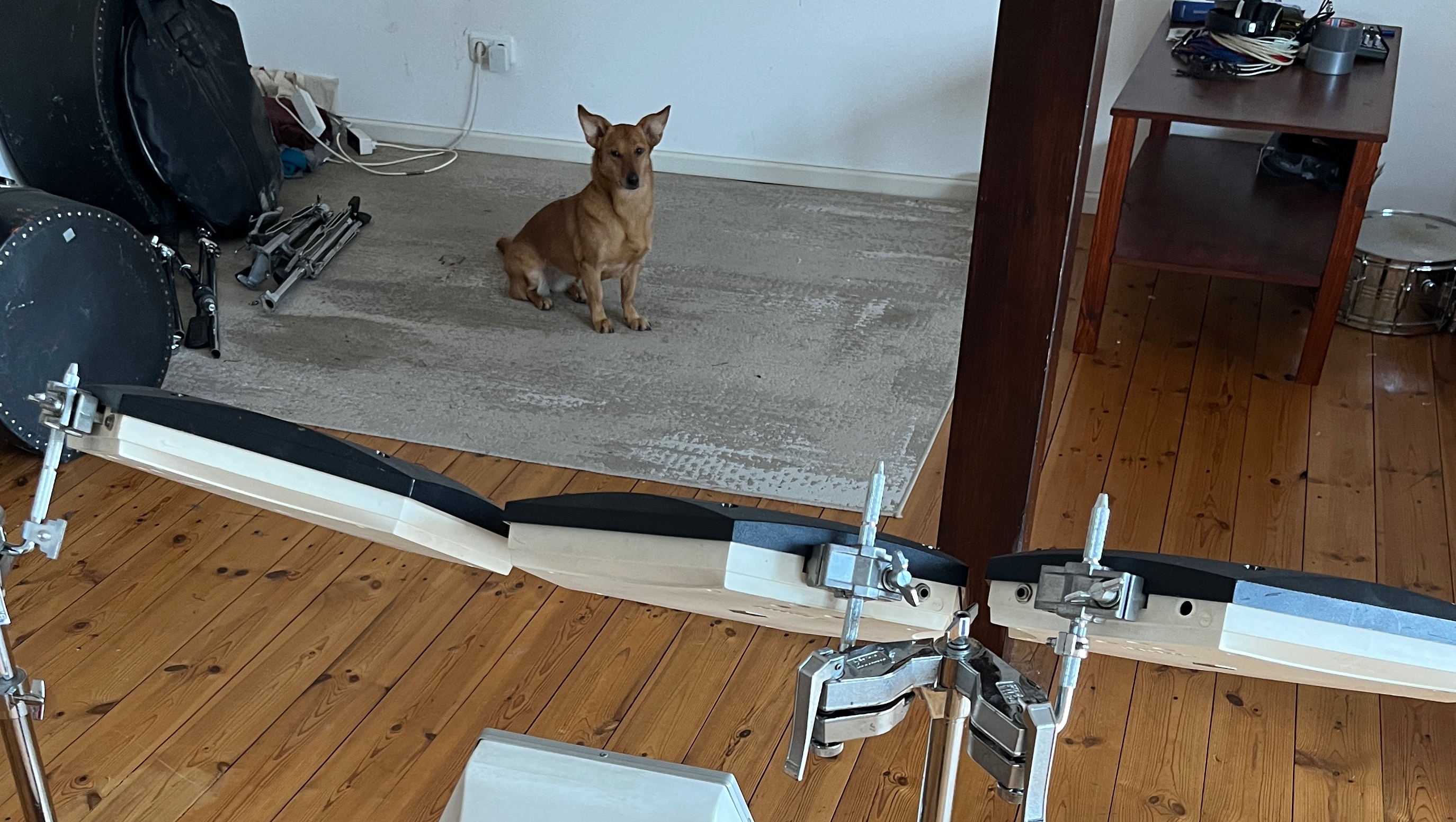 Spendenaktion von Hans-Reimer Sievers: Hans (ex drummer FEX) for ...