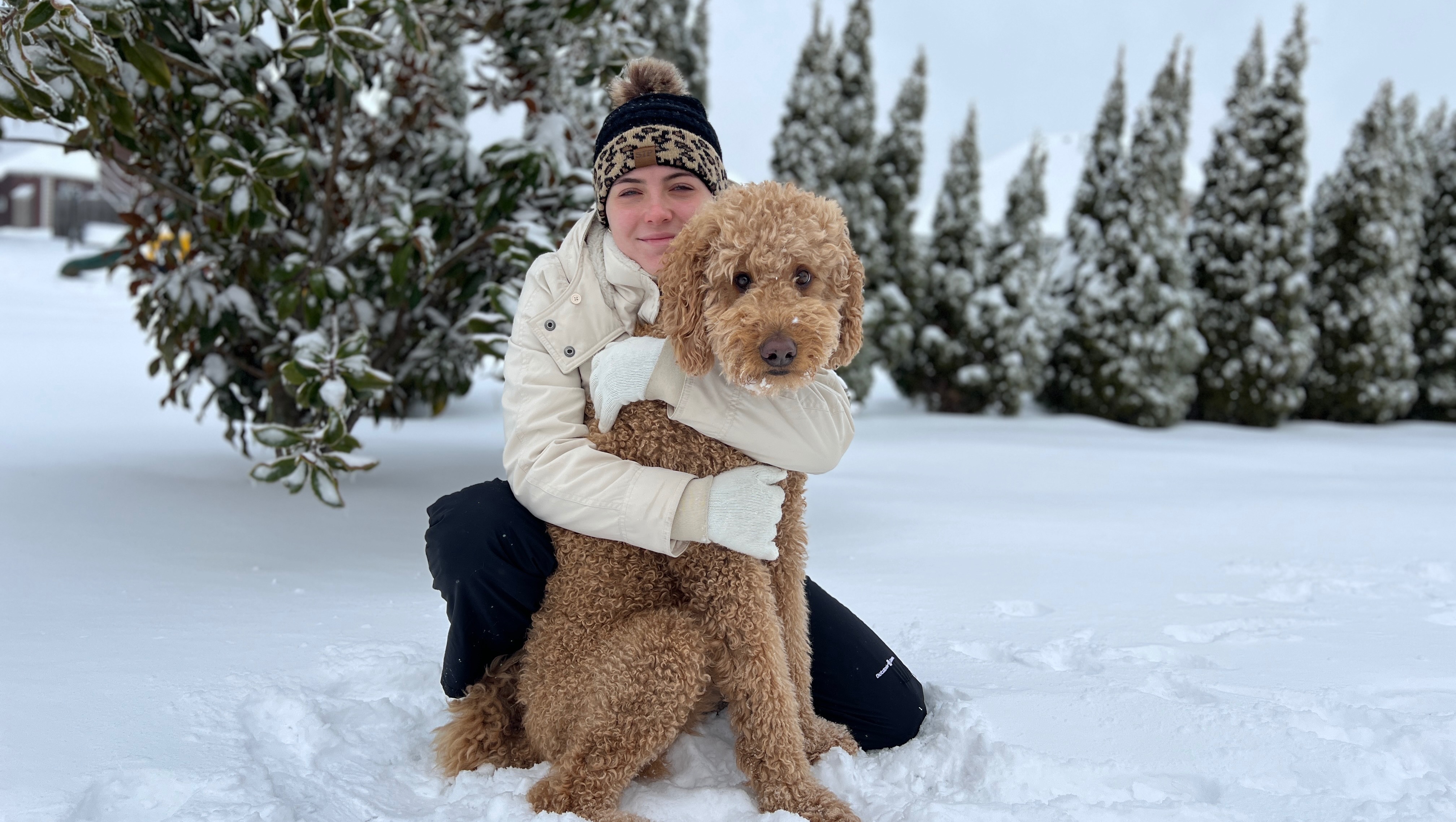 Fundraiser by Cierra Hermann : Help Oliver Walk Without Pain