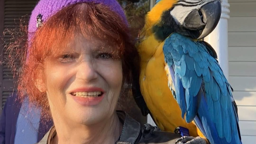 Fundraiser for Lisa Nigro by Chloe Lux : Support Lisette Lux's Medical ...